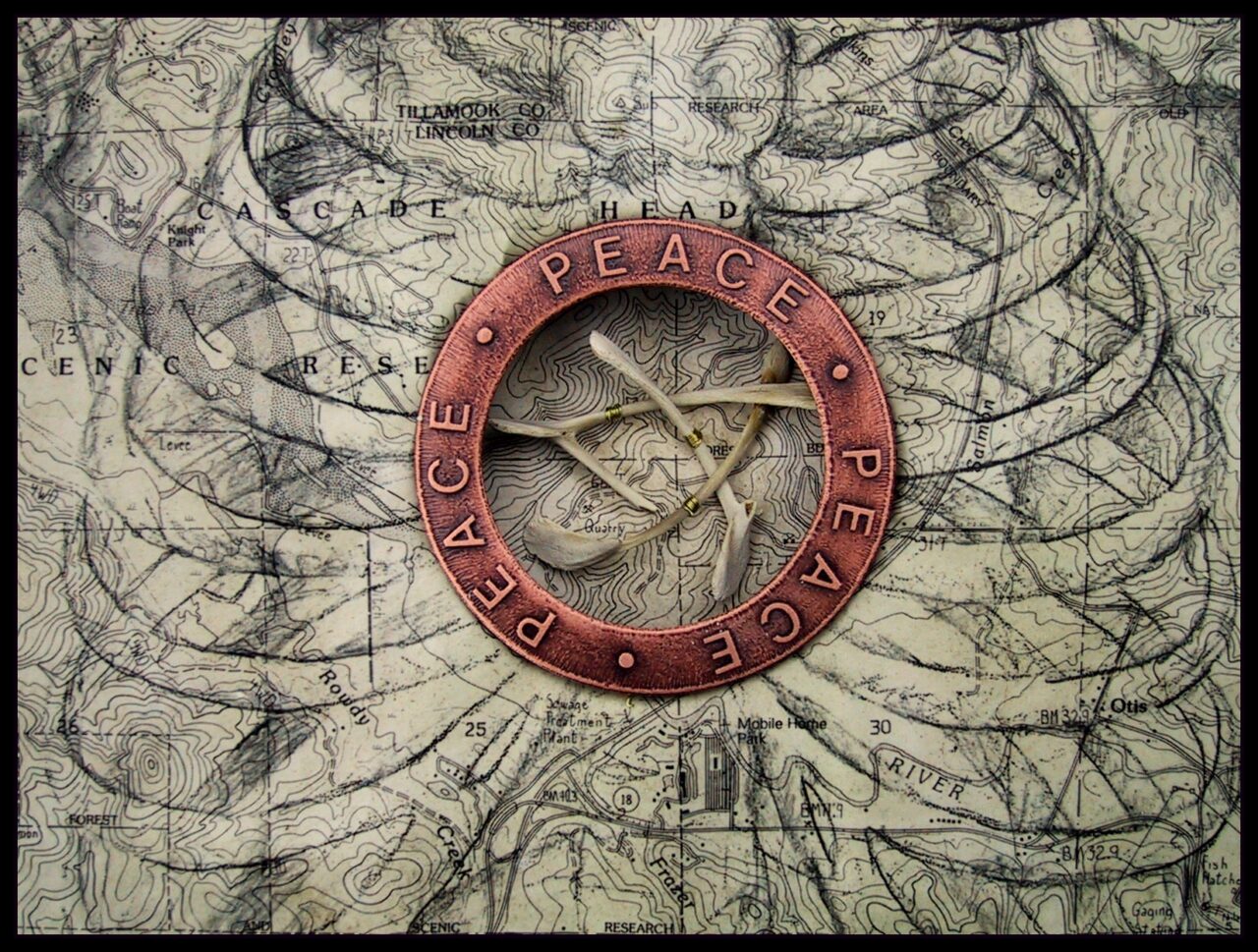 Past Work | Diane A. Archer